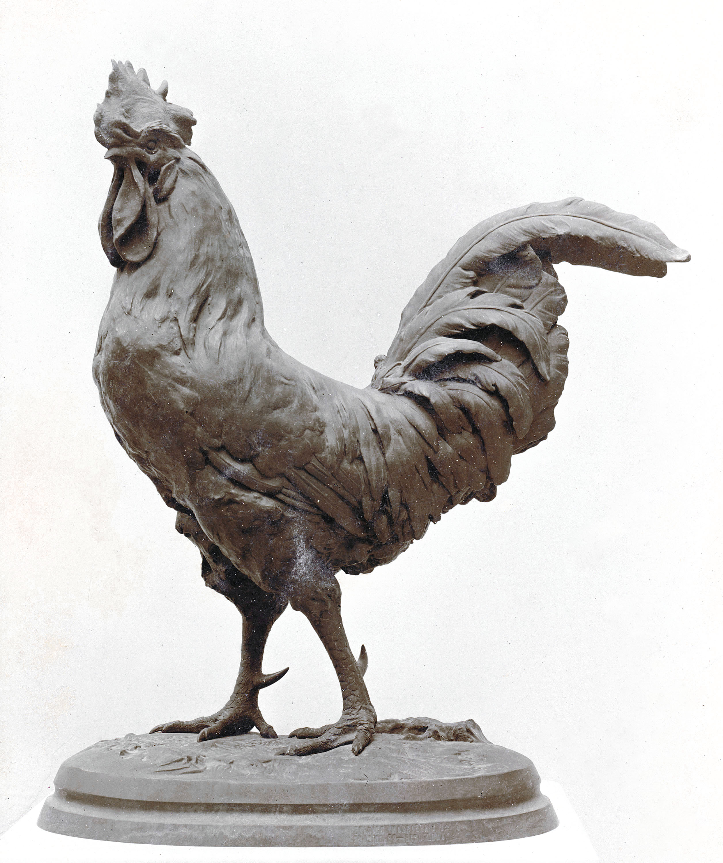 Gallo | Museu Nacional d'Art de Catalunya