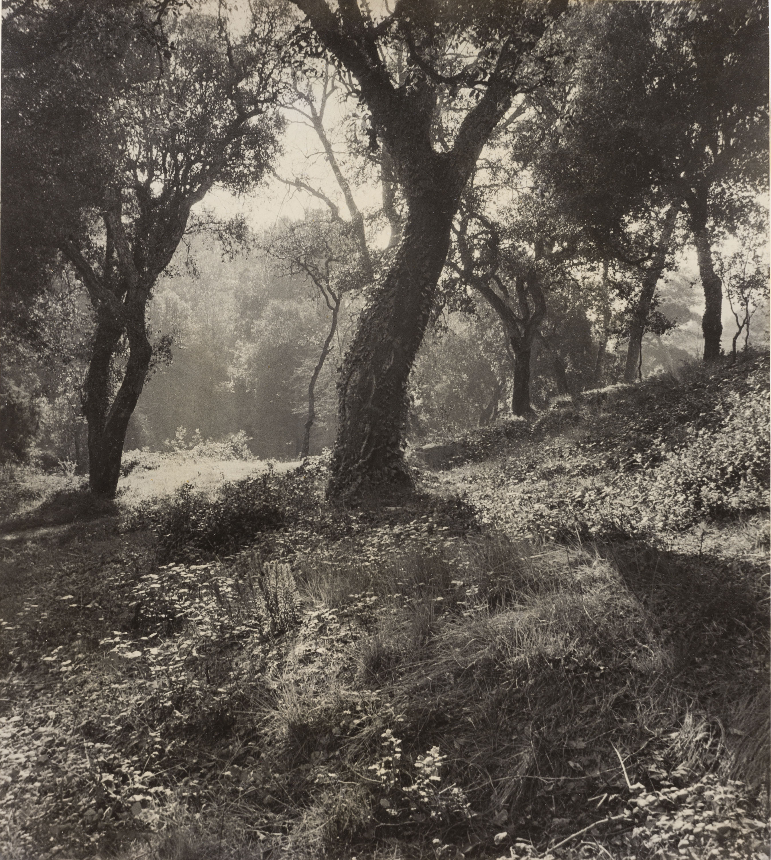 Paisaje | Museu Nacional d'Art de Catalunya