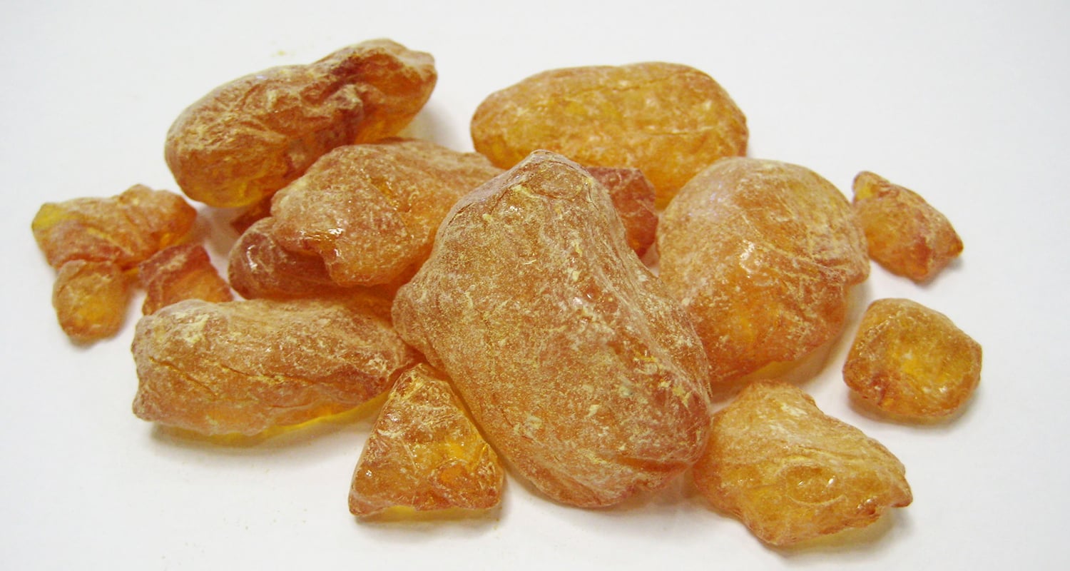 Colofonia | Museu Nacional d'Art de Catalunya